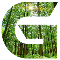 Zedman Awards | the Zedman Award for Video