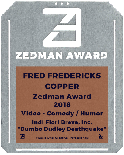 Zedman Awards | the Zedman Award for Video